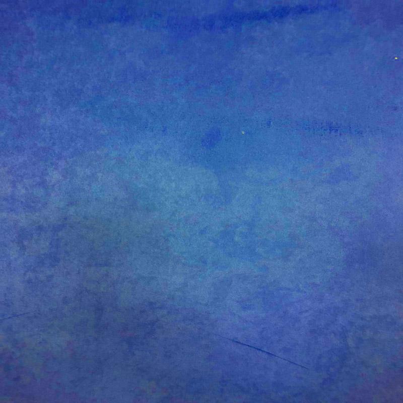 Blue Synergy Performer Suede